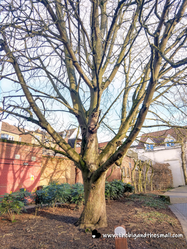 Exploring St. Albans, England | The Big and The Small